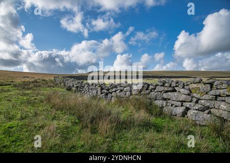 Great Staple Tor Dartmoor Nationalpark Devon Stock Photo - Alamy