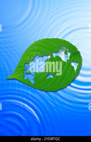 Leaf, map and ripple Stock Photo - Alamy