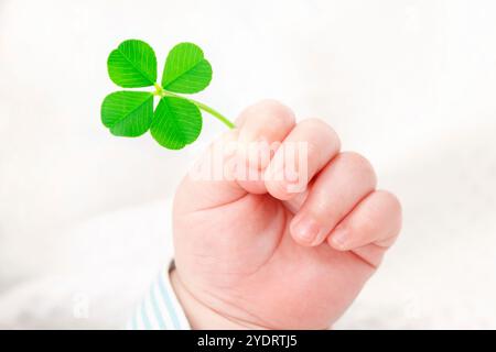 Baby's hands and four-leaf clover Stock Photo - Alamy