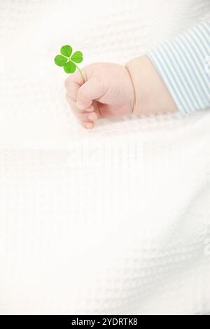 Baby's hands and four-leaf clover Stock Photo - Alamy