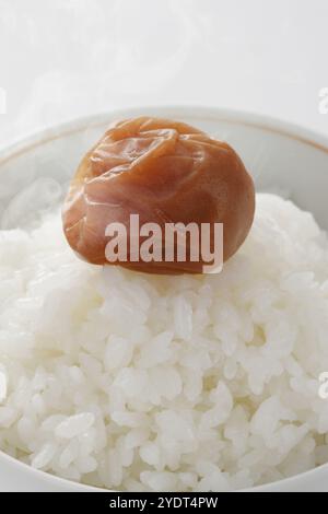 Japanese food, pickled Umeboshi with cooked rice Stock Photo - Alamy
