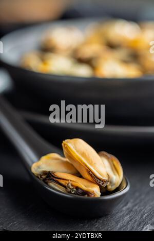 Fresh mussels in black ceramic bowl on dark concrete background Stock ...