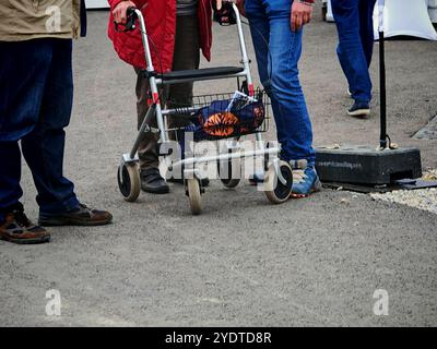 Disability in its various forms as a sign of permanent and serious ...