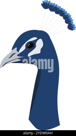 Peacock head isolated on a white background. Vector illustration Stock ...