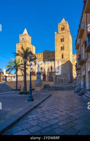 Italy, Sicily, Cefalu, UNESCO World Heritage, palm tree Stock Photo - Alamy