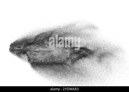 Black particles splattered on white background. Black powder dust ...