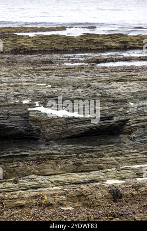 Tilted Devonian sandstone layers, sheltered bay of Skiba Geo, Northside ...