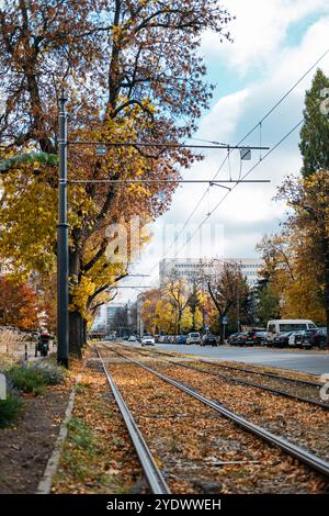 Autumn street scene in Warsaw with tram tracks, colorful trees, and ...