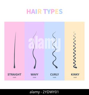 Hair types chart set of strands growth patterns Stock Vector Image ...