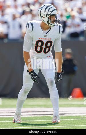 Cincinnati Bengals tight end Mike Gesicki (88) performs a drill during ...