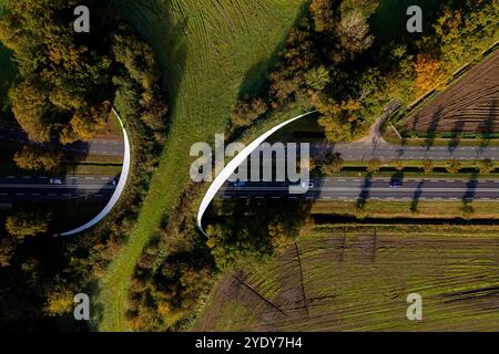 Motorway passing underneath Grimberg wildlife crossing forming a safe ...