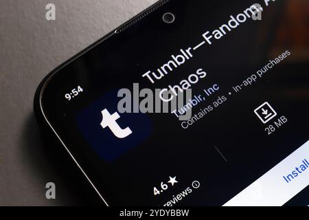 In this photo illustration a Tumblr logo is seen displayed on a ...