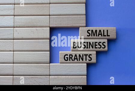 Small Business Grants symbol. Concept words Small Business Grants on ...