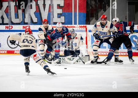 Cole Maier (14, Nuernberg Ice Tigers, NIT ) Nick Caamano (27, Grizzlys ...