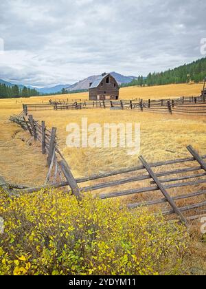 Old Barn Behind Field of Yellow Flowers Stock Photo - Alamy