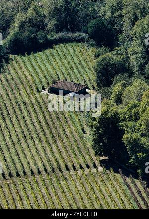 Aerial shot of a field on a sunny day in summer Stock Photo - Alamy