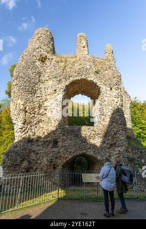 England, Hampshire, Basingstoke, Odiham, Odiham Castle Stock Photo - Alamy