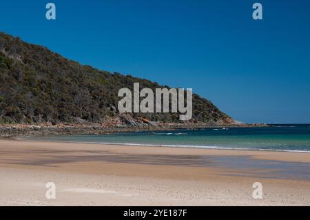 Beach at Badger Head, Narawntapu National Park, on the northern coast ...