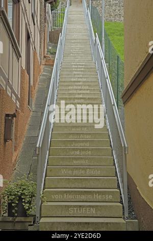 Staircase with poem Steps by Hermann Hesse, staircase with inscription ...