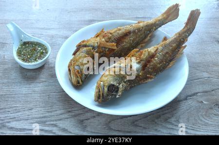 deep fried croaker fish dipping Thai spicy seafood sauce on plate Stock ...
