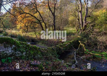 Autumn in Bradford Dale, Youlgreave, Peak District National Park ...