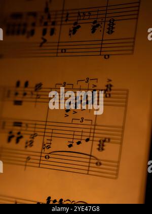 Music sheets. Melodies written with different musical symbols as ...