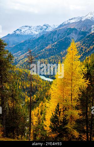 Stunning autumn reflections at Falensee in Appenzell, Switzerland Stock ...