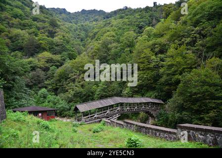 The Historical Buzlupinar Bridge in Cayeli, Rize, Turkey was built of ...