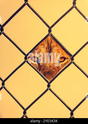Chain Collage Artwork Stock Photo - Alamy