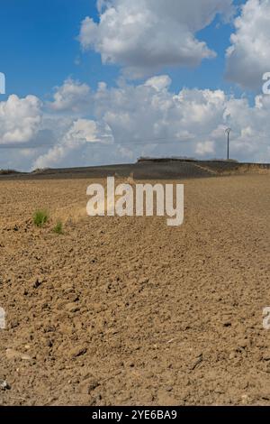 Scenic view of beautiful cotton candy skies in Madrid, Spain Stock ...