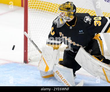 Minnesota Wild right wing Mats Zuccarello plays during an NHL hockey ...