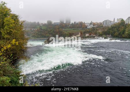 The beautiful Swiss Rhine Falls seen during the fall time Stock Photo ...