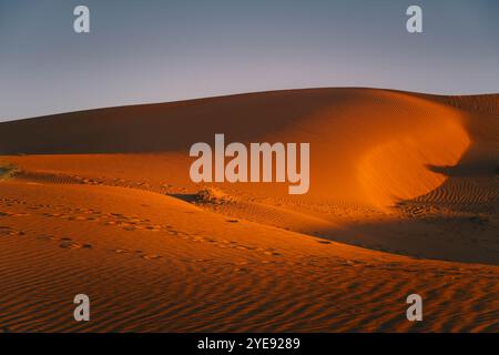 The Sahara desert sands on the sunsets with dunes and beautiful colors ...