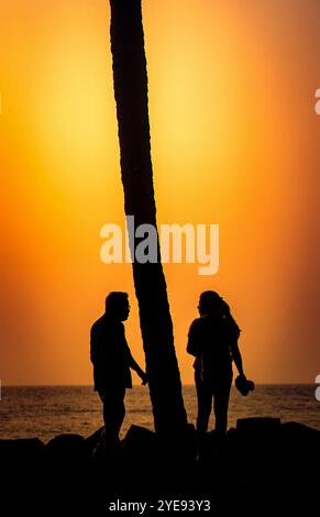 Golden Hour Playtime Stock Photo - Alamy
