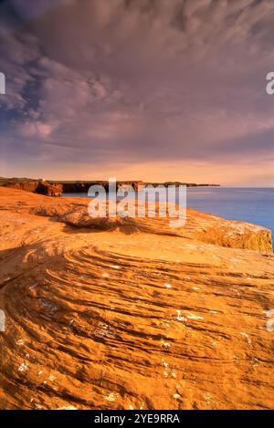 Rock detail with guano Stock Photo - Alamy