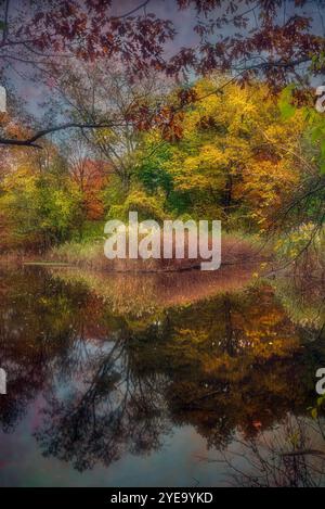 Fall foliage by Brooks Lake in Clove Lakes Park, Staten Island; New ...
