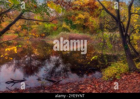 Fall foliage by Clove LakeClove Lakes Park Staten Island, NY Stock ...