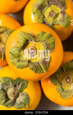 Ripe orange persimmons on the persimmon tree, fruit Stock Photo - Alamy