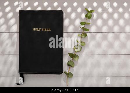 Holy Bible and eucalyptus on light background Stock Photo - Alamy