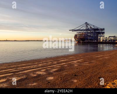 Port of Felixstowe with MSC Freya berthed Stock Photo - Alamy