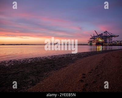 Port of Felixstowe with MSC Freya berthed Stock Photo - Alamy