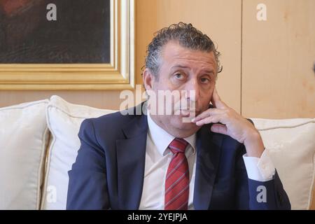 The President of the Provincial Council of Seville, Javier Fernandez ...