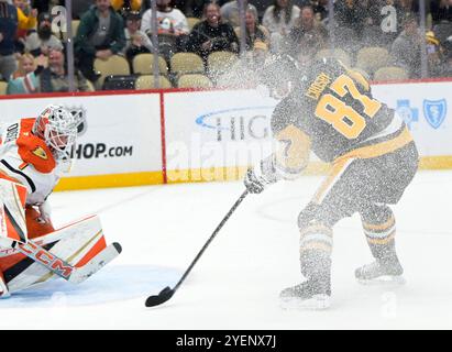 Anaheim Ducks goaltender Lukas Dostal is scored on by Los Angeles Kings ...