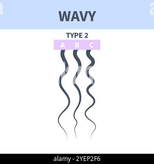 Curly hair type chart of strands growth pattern Stock Vector Image ...