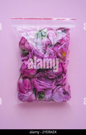 Environmental pollution concept. Flower in a plastic bag. Danger ...