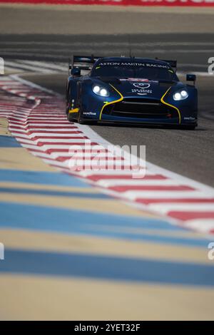 RIBERAS Alex (esp), Aston Martin Thor Team, Aston Martin Valkyrie, #009 ...
