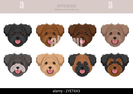 Affenpoo clipart. Affenpinscher Poodle mix. Different coat colors set ...