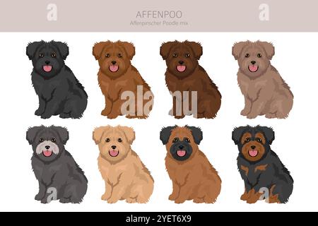 Affenpoo clipart. Affenpinscher Poodle mix. Different coat colors set ...