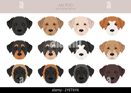 Akita Poodle mix. Aki Poo clipart. Different coat colors set. Vector ...