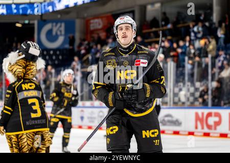 Samuel Dove McFalls (75, Nuernberg Ice Tigers, NIT ) Eric Hördler ...